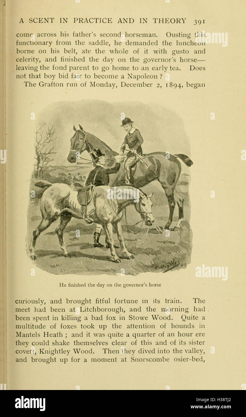 This collection features popular events and entertainment highlights ...