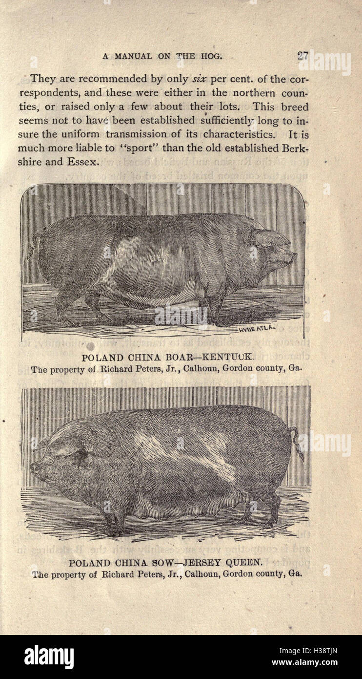 This manual provides essential information on hog farming, focusing on ...