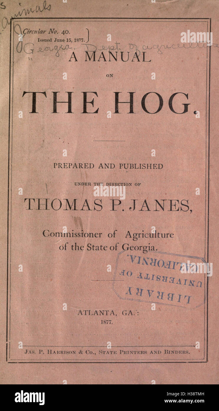 Hog font hi-res stock photography and images - Alamy