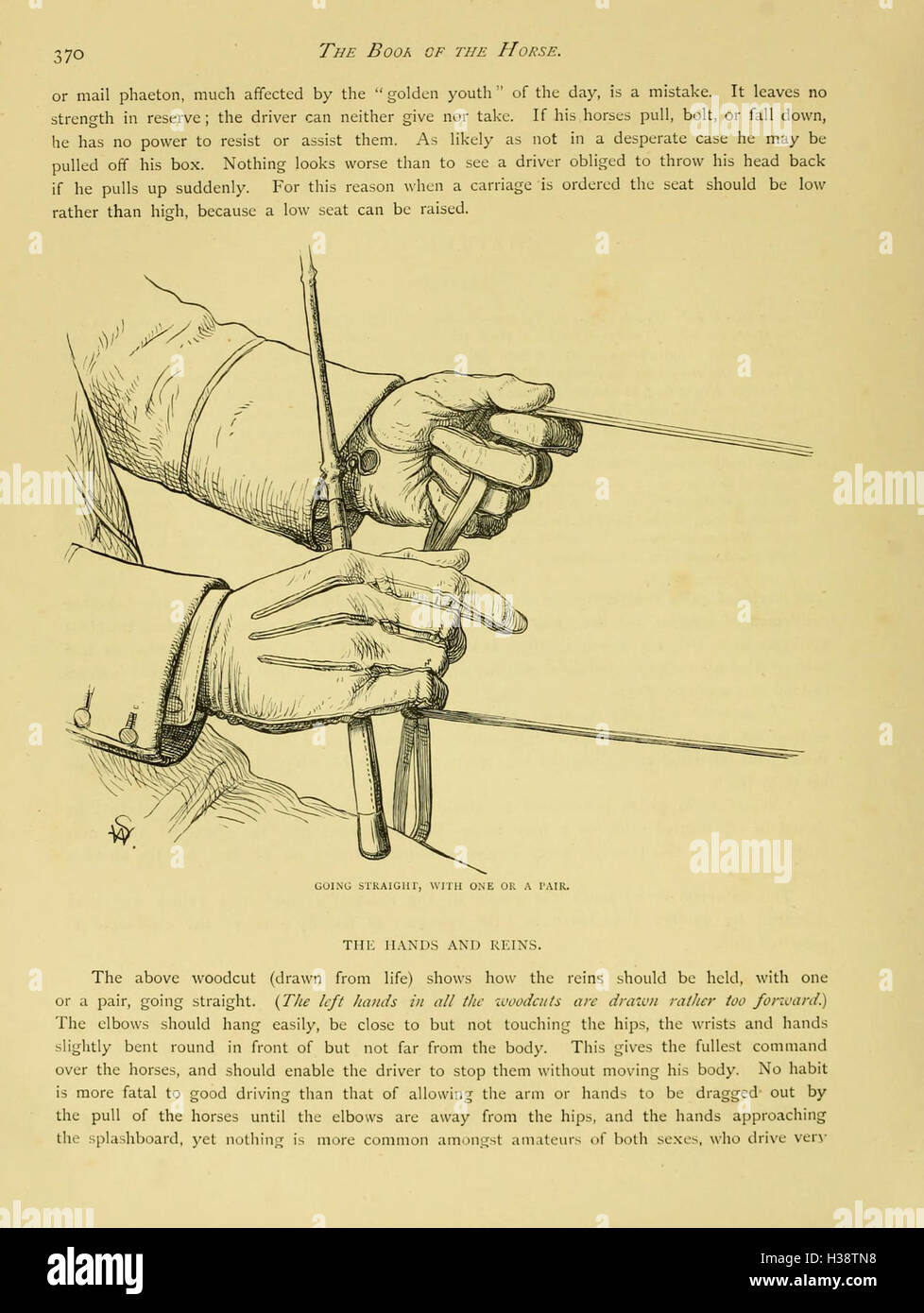 This page offers an extensive guide to horses, covering their breeds ...