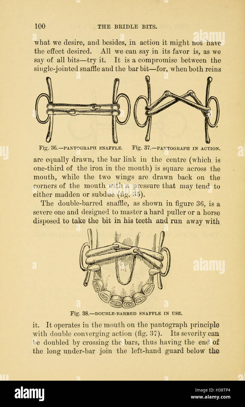 This text examines the different types of bridle bits used in ...