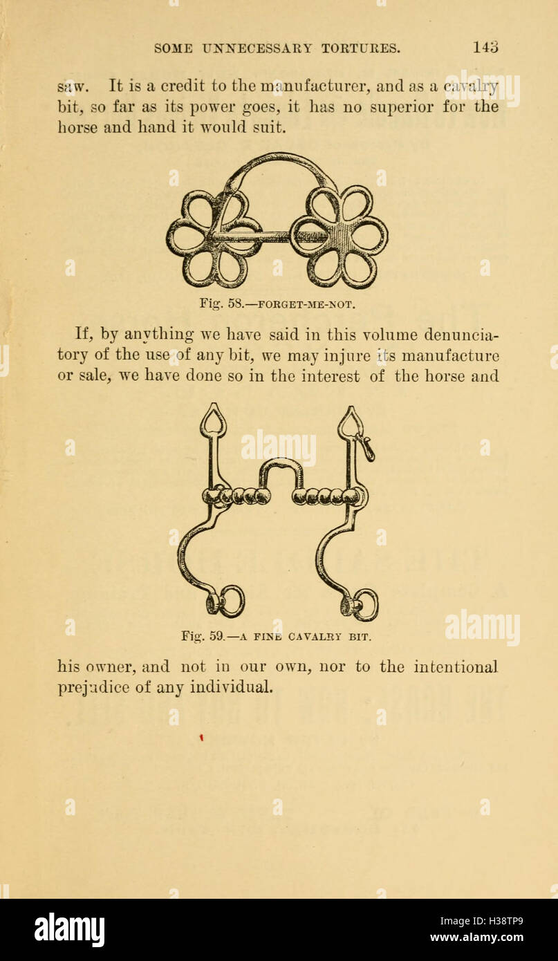 This work provides an in-depth look at the history and types of bridle ...