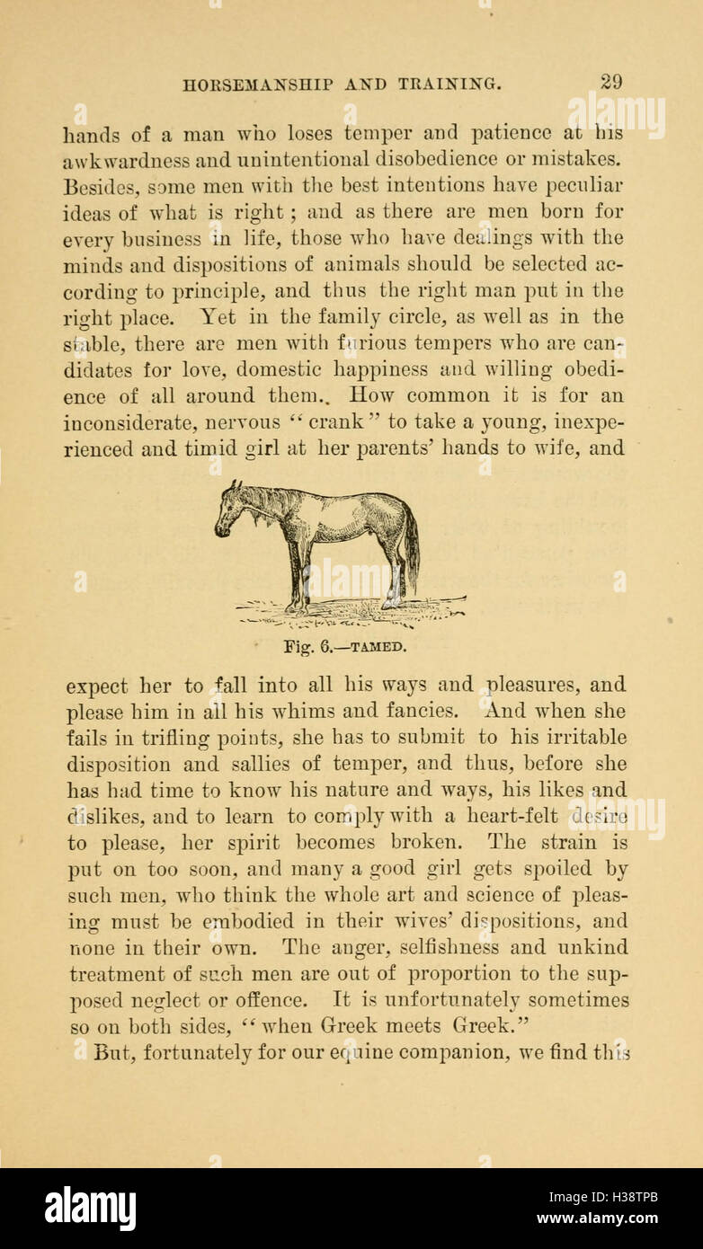 This work focuses on the various types of bridle bits used in horse ...
