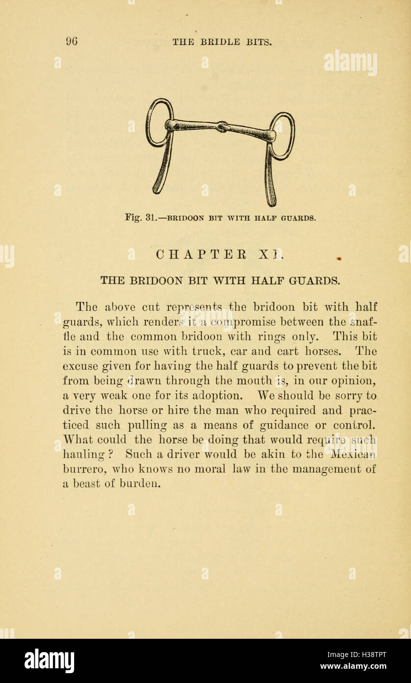 Bridle bits hi-res stock photography and images - Alamy