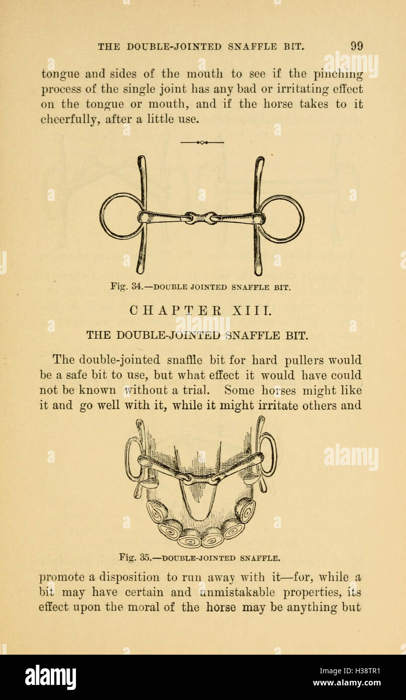 A guide to the design and use of bridle bits in horsemanship, focusing ...