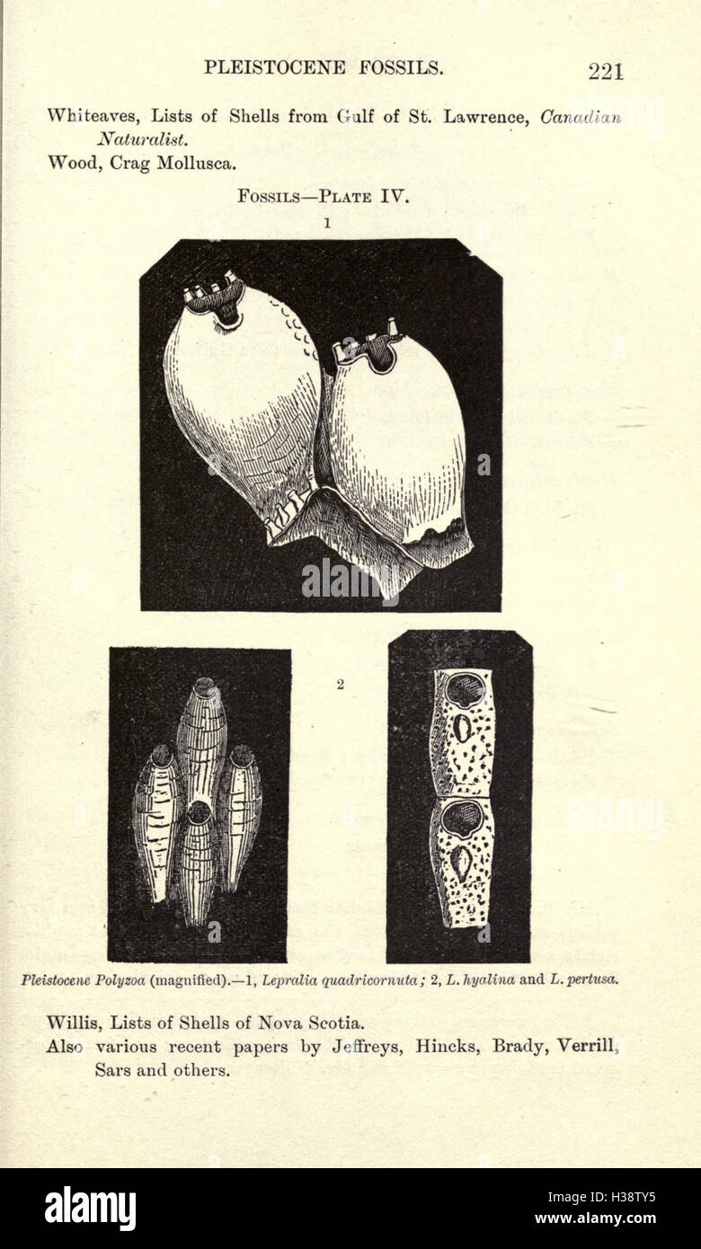 The Canadian ice age (Page 221) BHL242 Stock Photo - Alamy