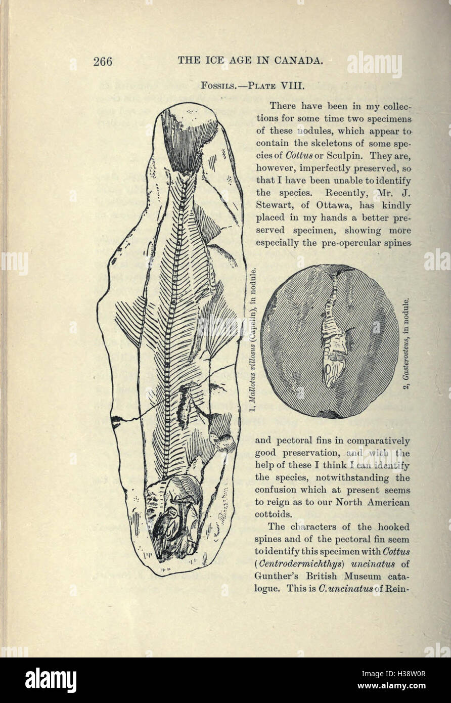 A study of the Canadian ice age, focusing on the glaciation events ...