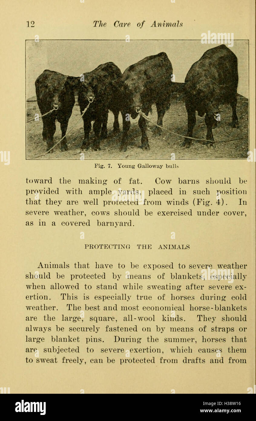 'The Care of Animals' focuses on general practices for maintaining the ...