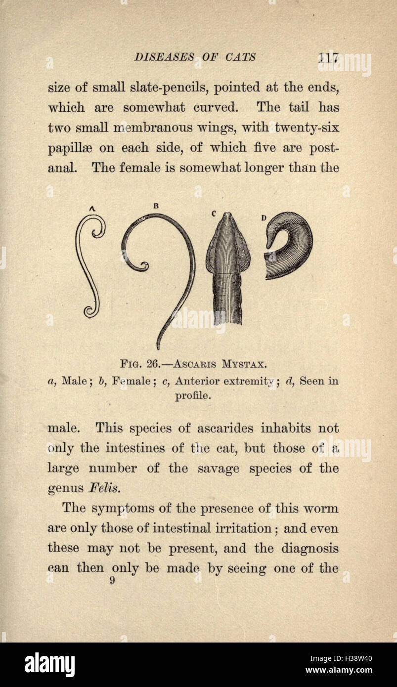 This guide covers the classification of cats, their various breeds, and ...