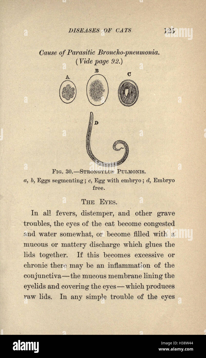 This guide offers information on various cat breeds, their ...