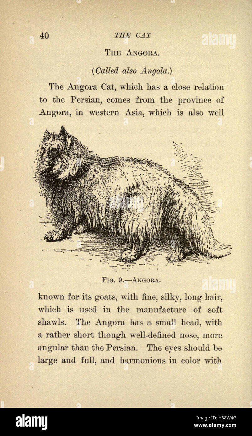 This work is a guide to cat classification, describing the various ...