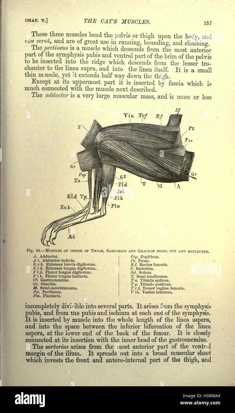 157 pages hi-res stock photography and images - Alamy