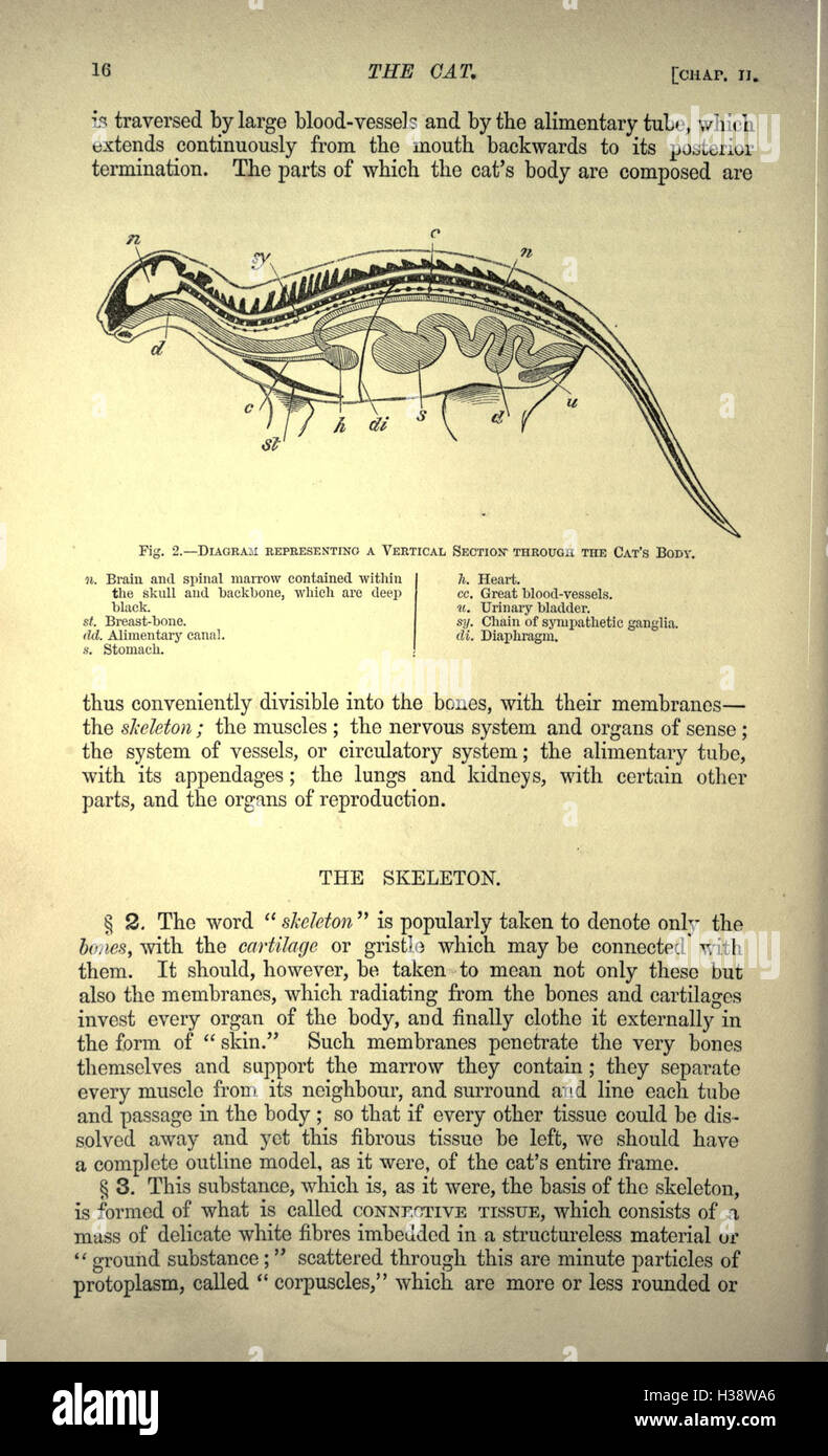 This text explores the biological characteristics, behavior, and ...