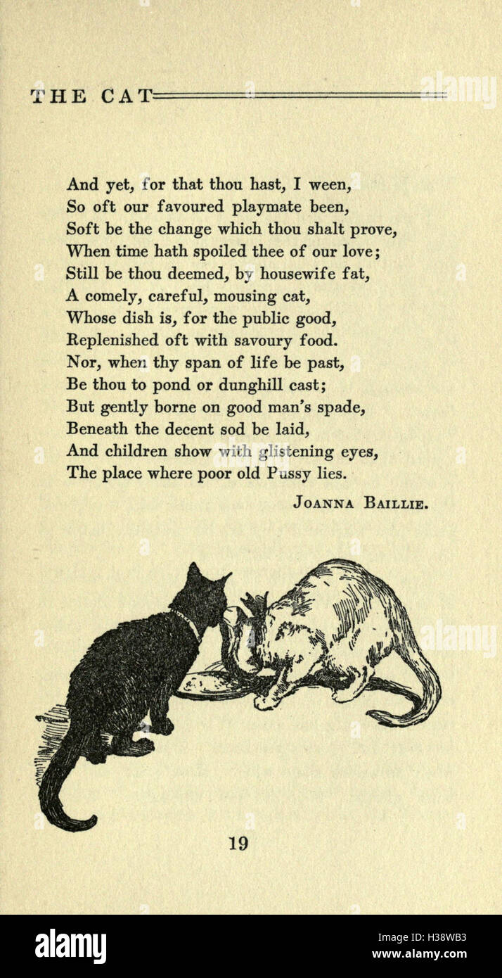 This work provides a detailed study on cats, covering their biology ...