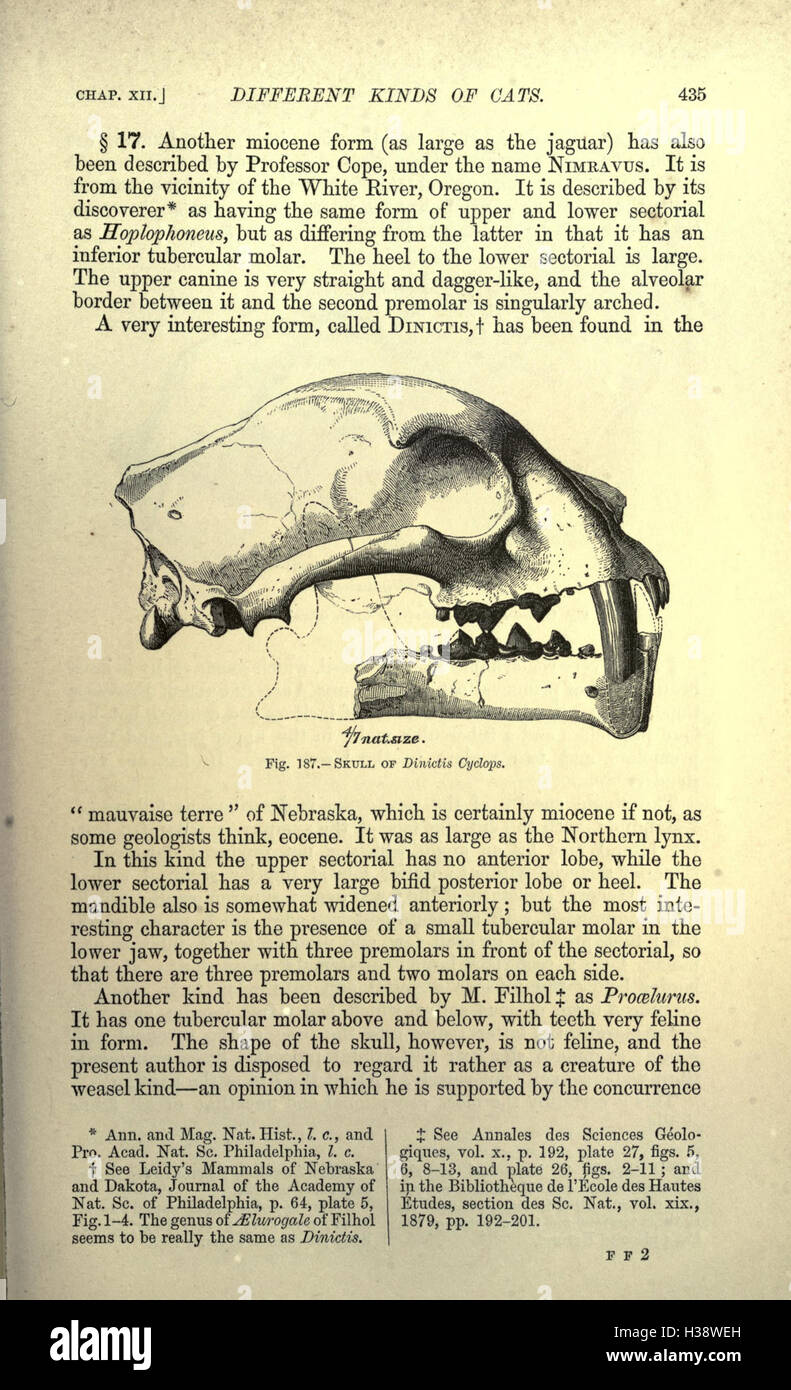 Pages 435 hi-res stock photography and images - Alamy