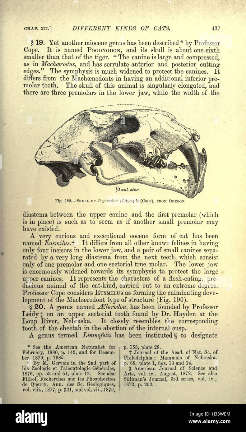 Pages 437 hi-res stock photography and images - Alamy