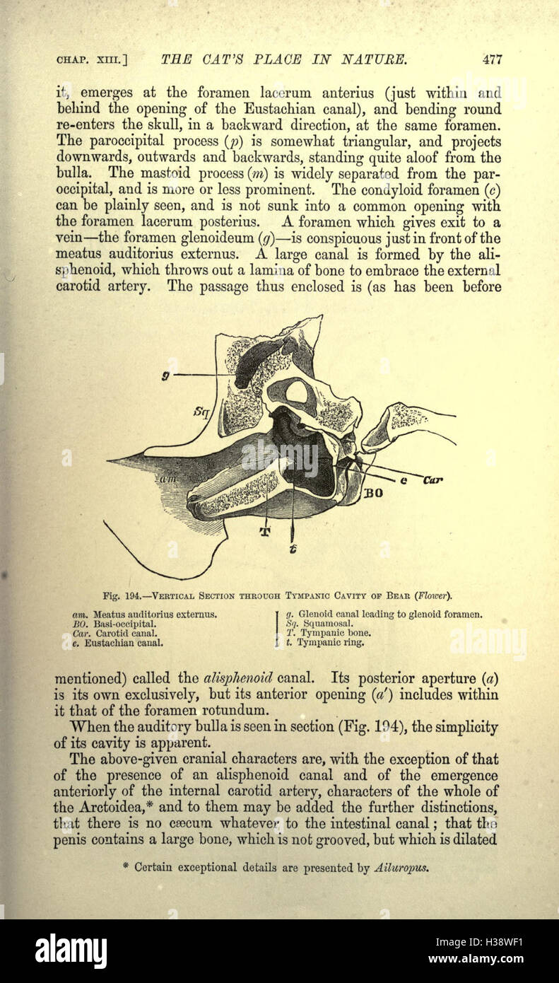 Pages 477 hi-res stock photography and images - Alamy