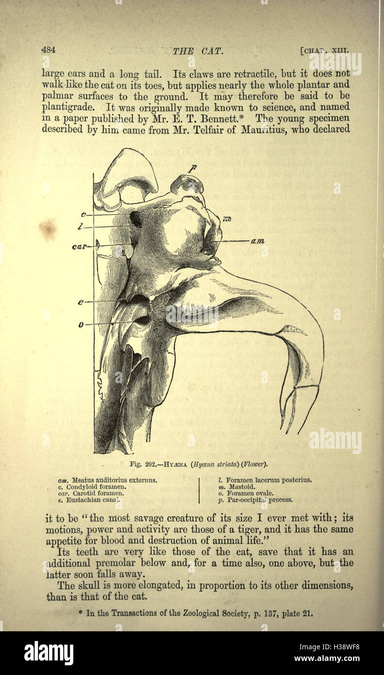 Pages 484 hi-res stock photography and images - Alamy