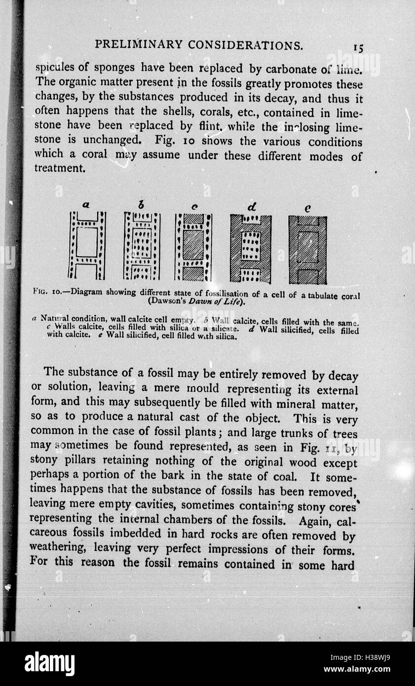 The Chain of Life in Geological Time discusses the chronological ...