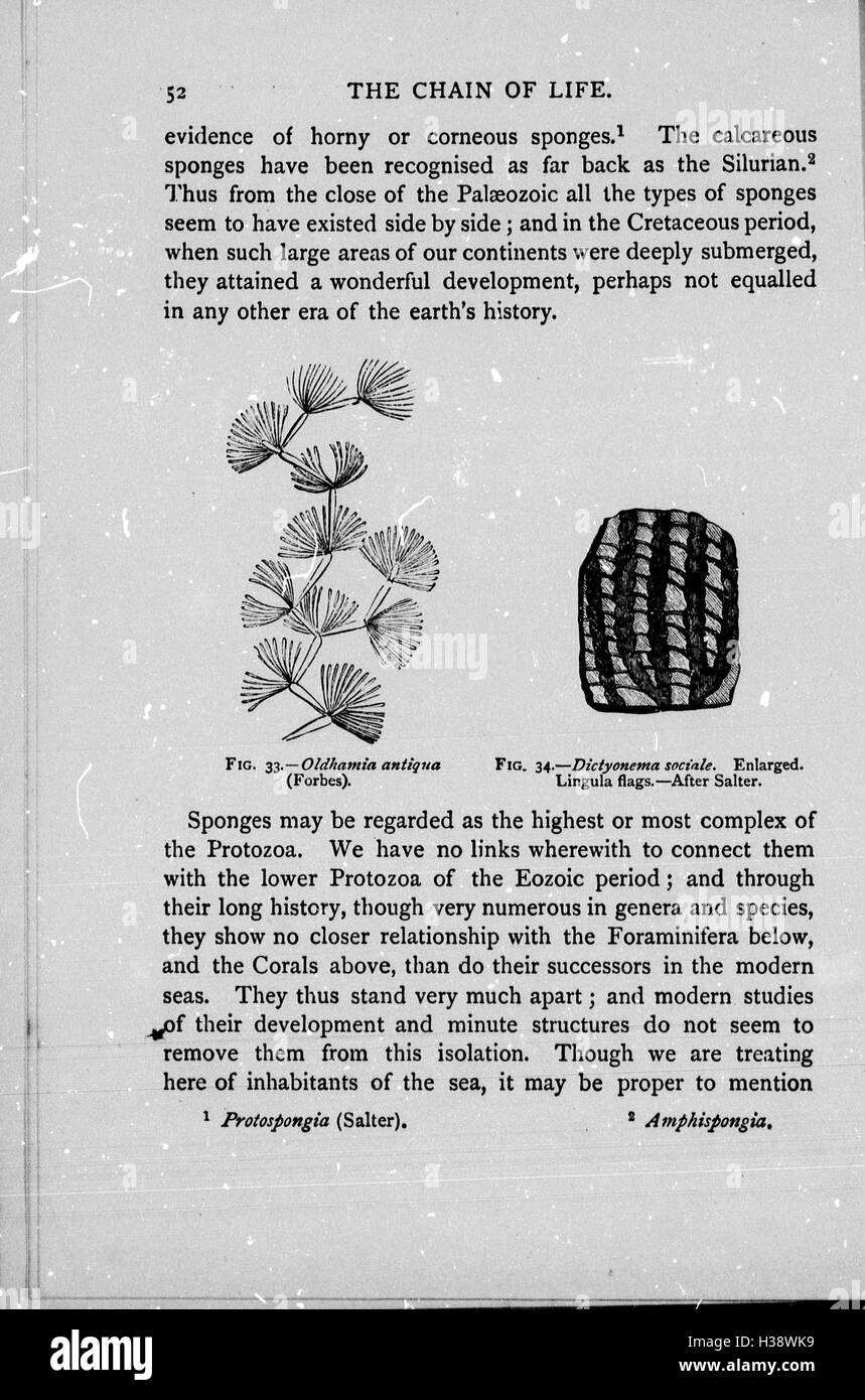 An exploration of the evolution of life on Earth, from the earliest ...