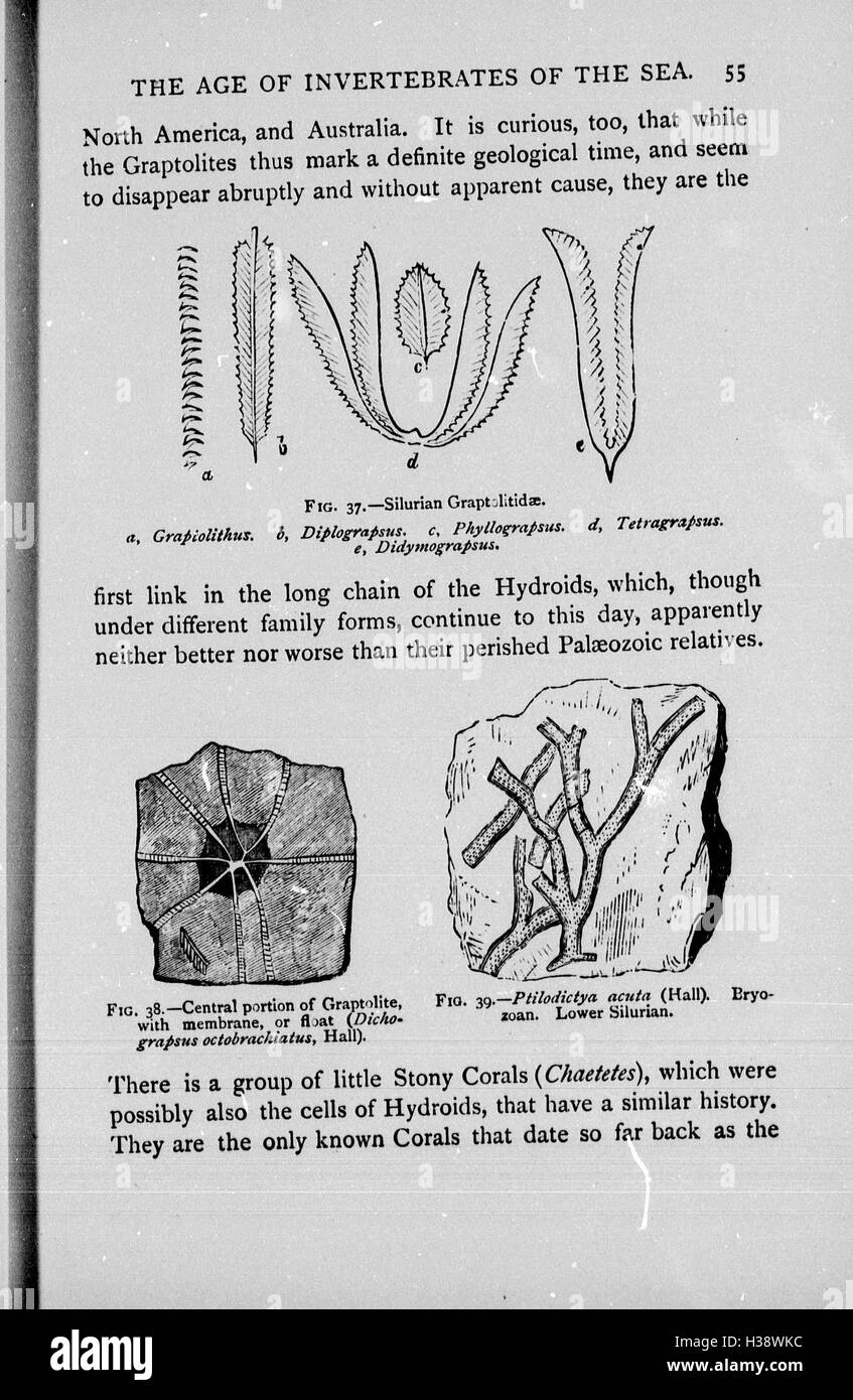 This work examines the progression of life on Earth through geological ...