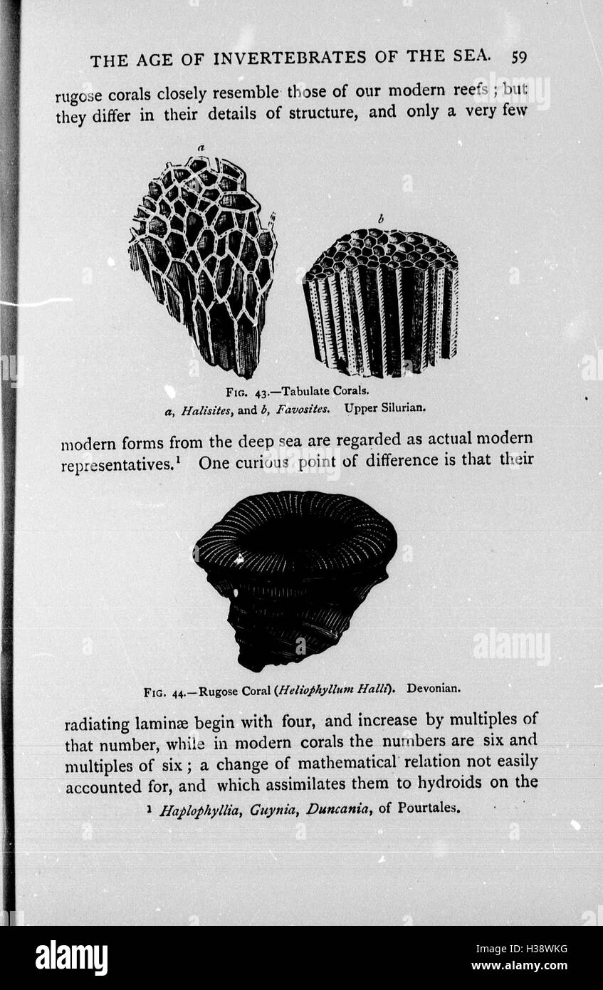 This page examines the evolutionary progression of life on Earth ...