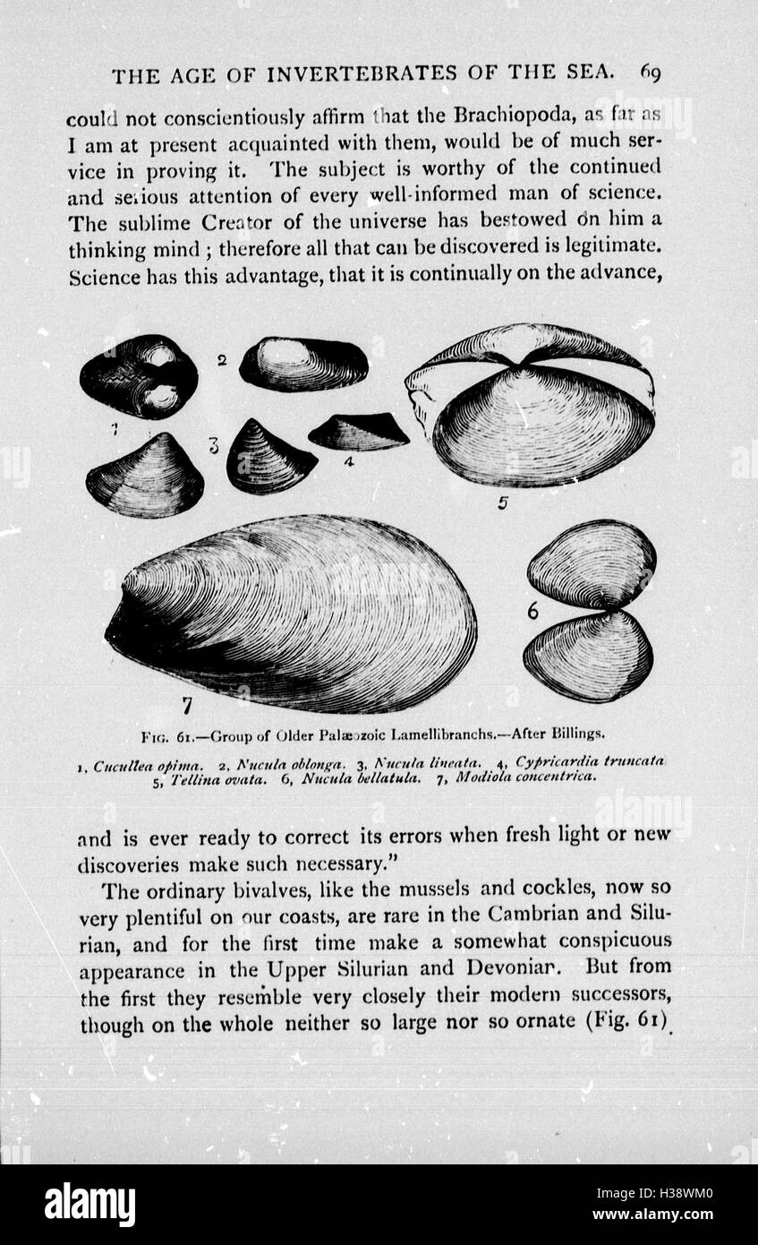 This work outlines the evolution of life on Earth, tracing the ...