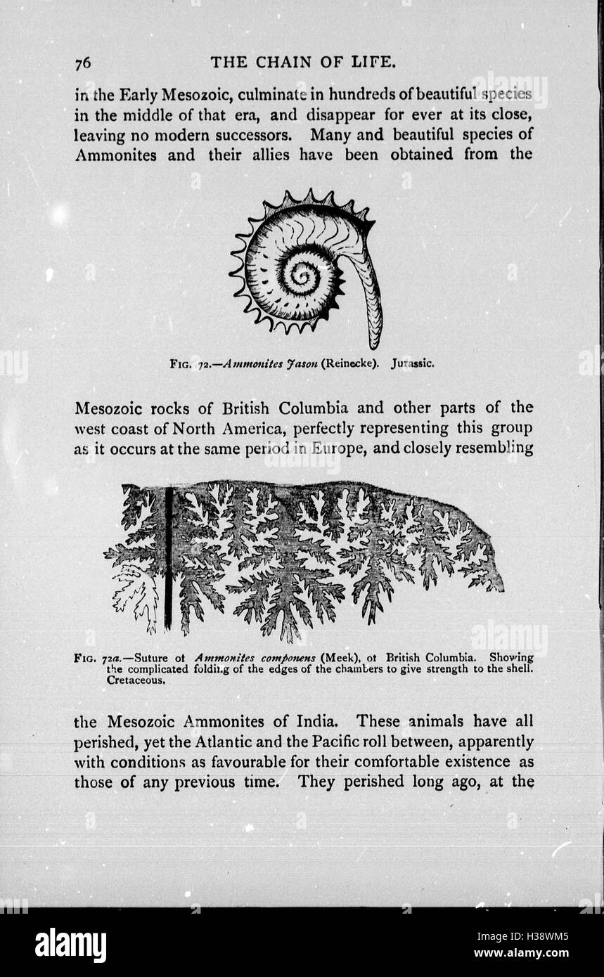 This work examines the progression of life forms through geological ...