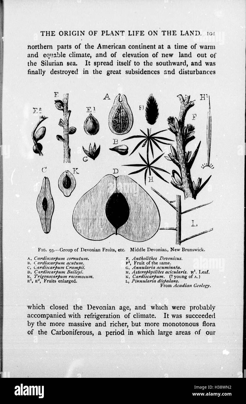 This text details the development of life on Earth over geological time ...