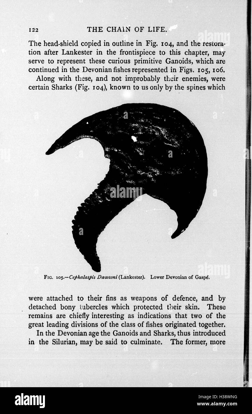 This work discusses the progression of life throughout geological ...