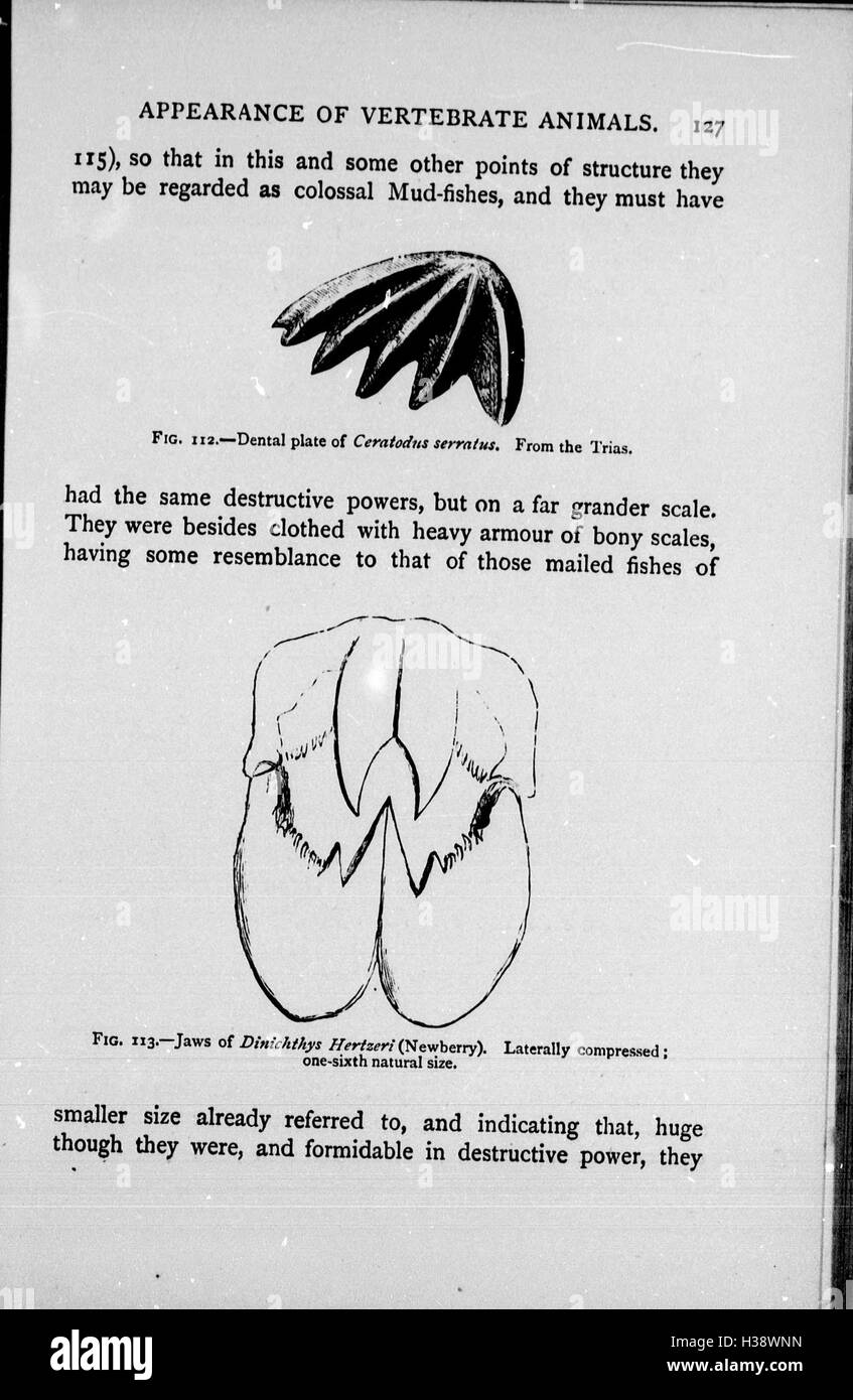 This work illustrates the evolutionary process across geological time ...