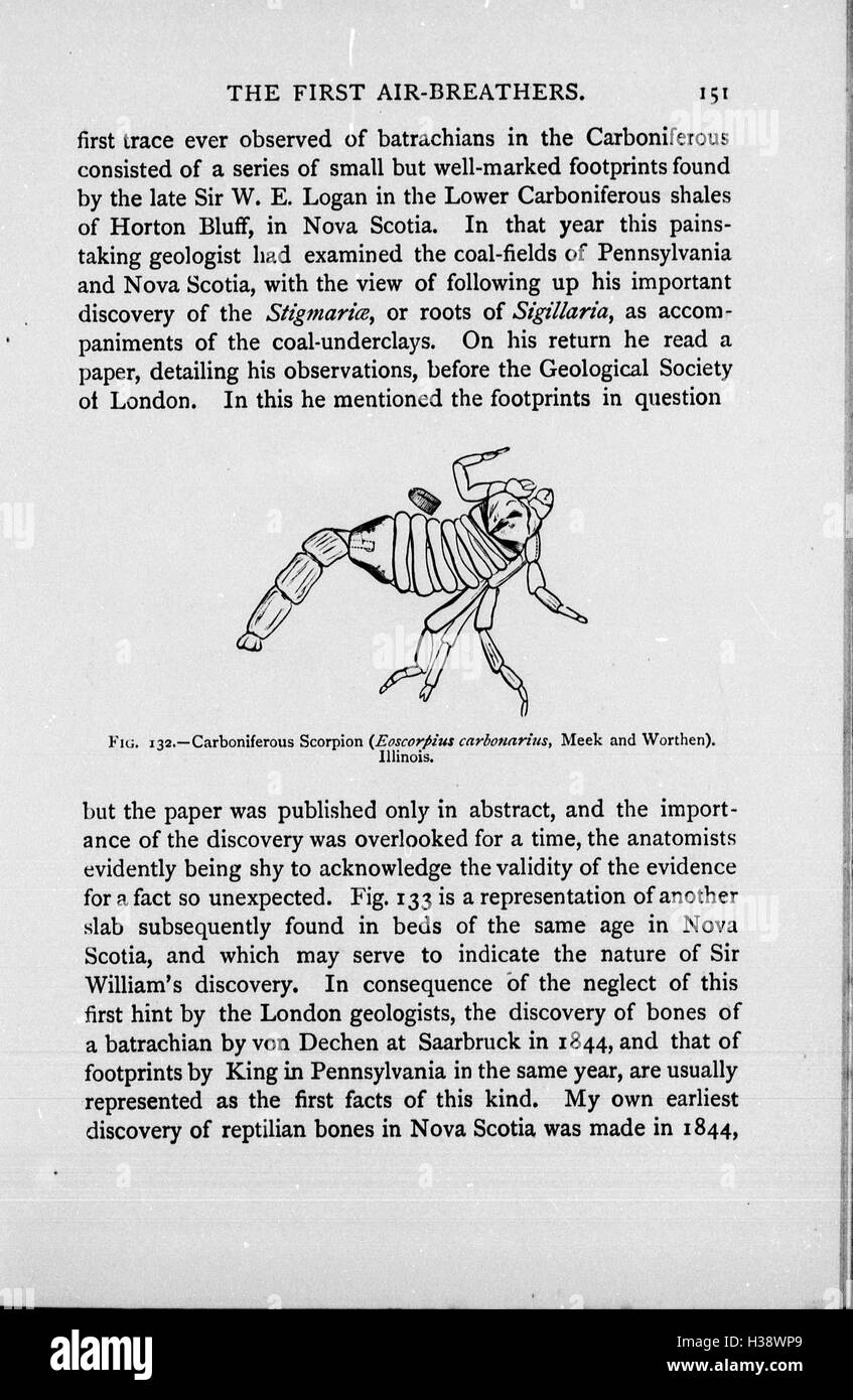 'The Chain of Life in Geological Time' traces the evolution of life on ...