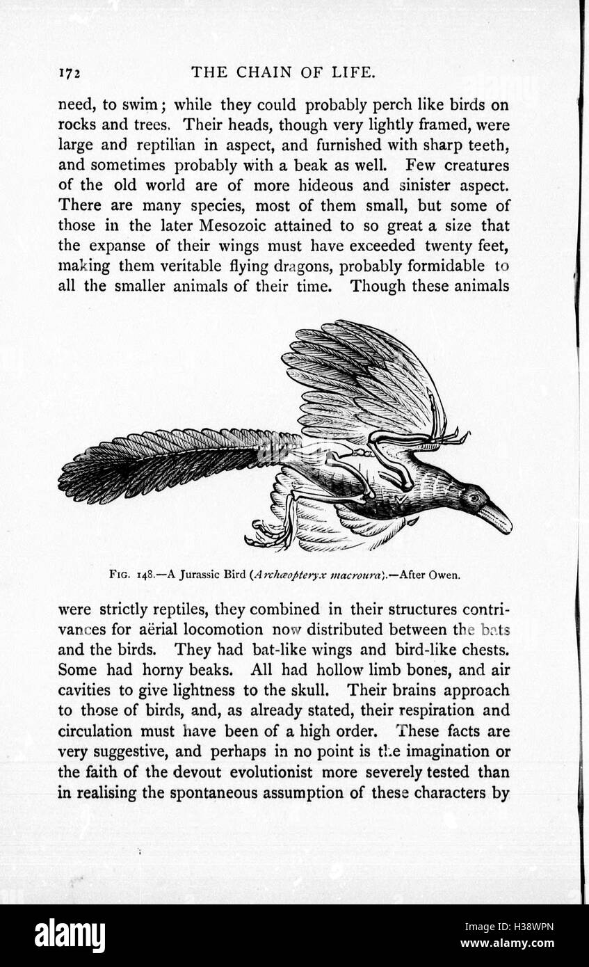 This work outlines the progression of life forms through geological ...