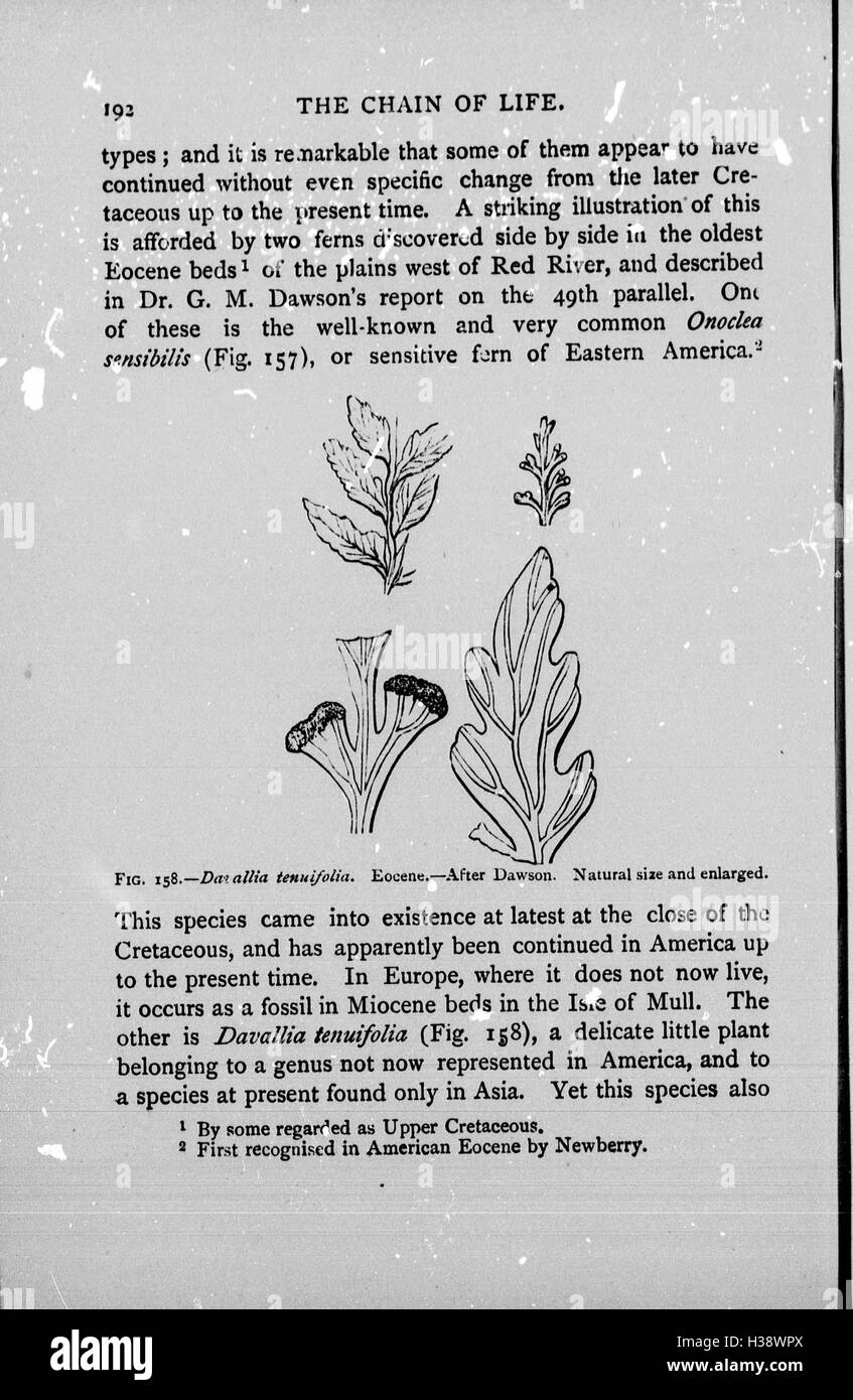 This page discusses the concept of the chain of life in the context of ...