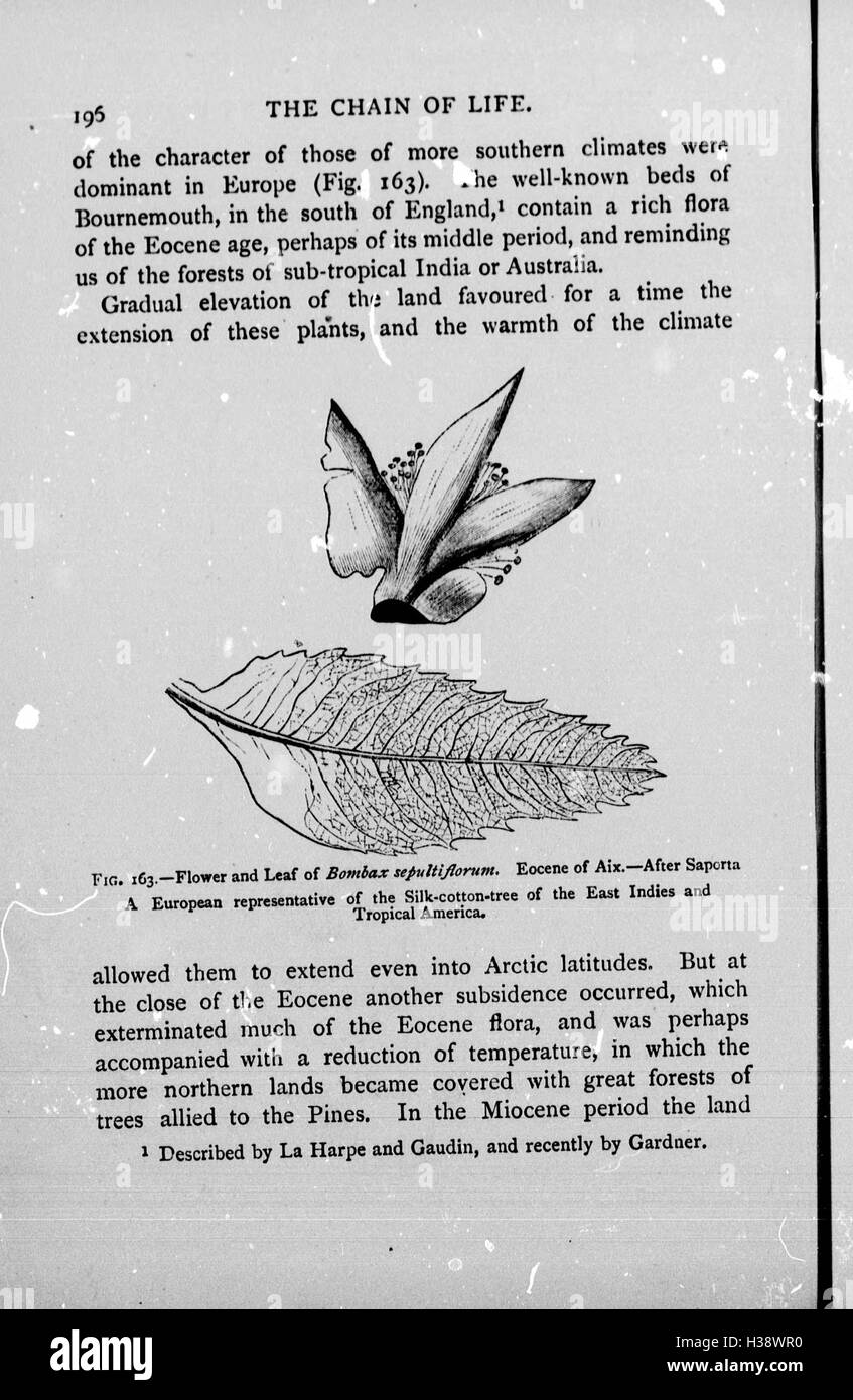 This work explores the evolution of life across geological time ...