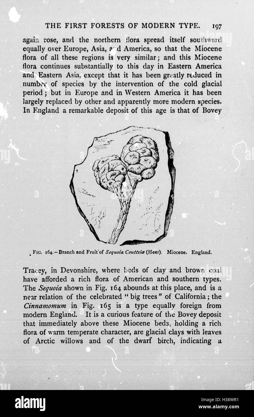 This text discusses the evolution of life on Earth through geological ...