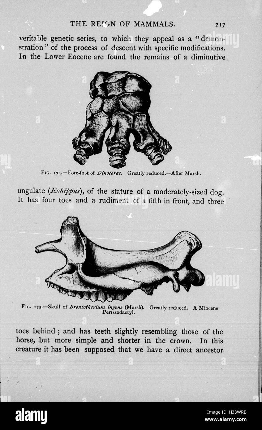 This book presents an overview of life’s evolution throughout ...