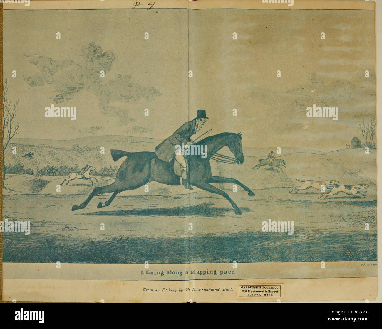 This work discusses the history and practice of hunting, with a focus ...