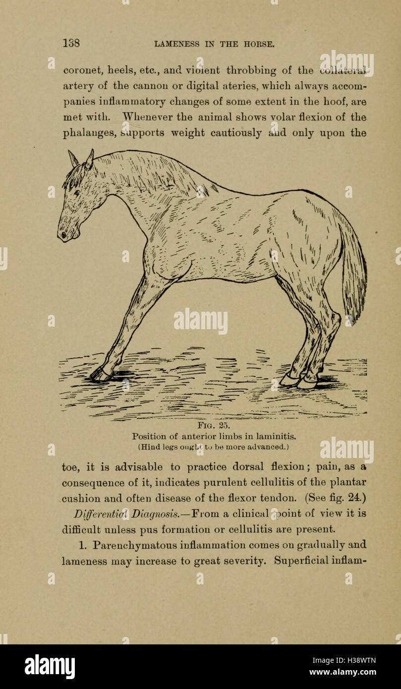 This work provides a clinical guide for diagnosing lameness in horses ...