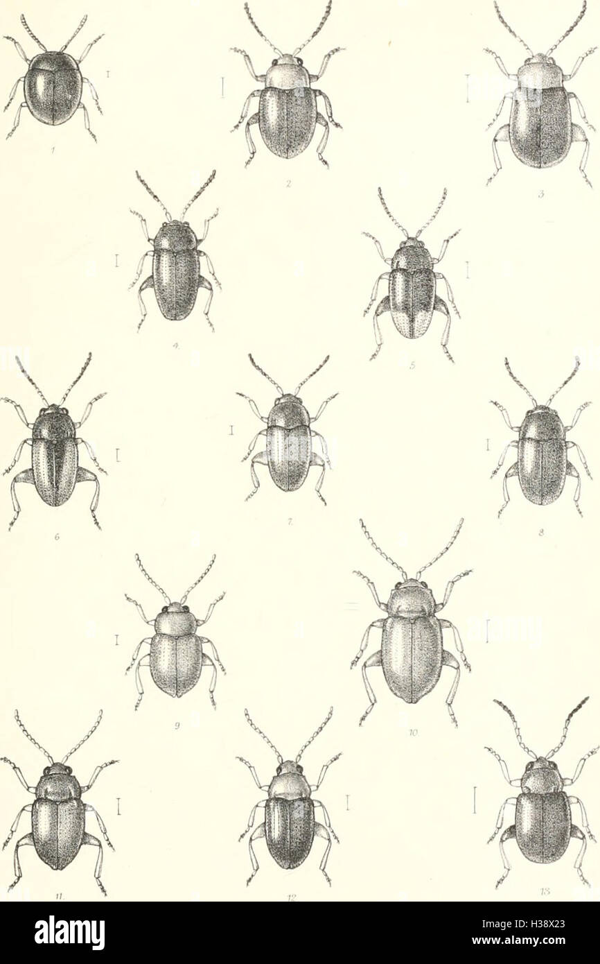 This work describes the beetle species of Great Britain and Ireland ...