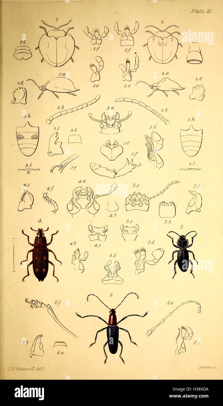 This page presents illustrations and information from a manual on ...