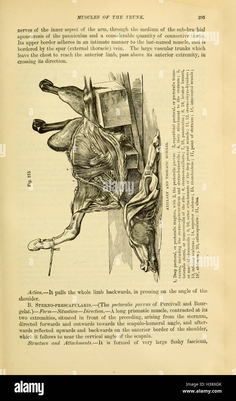 Pages 295 hi-res stock photography and images - Alamy