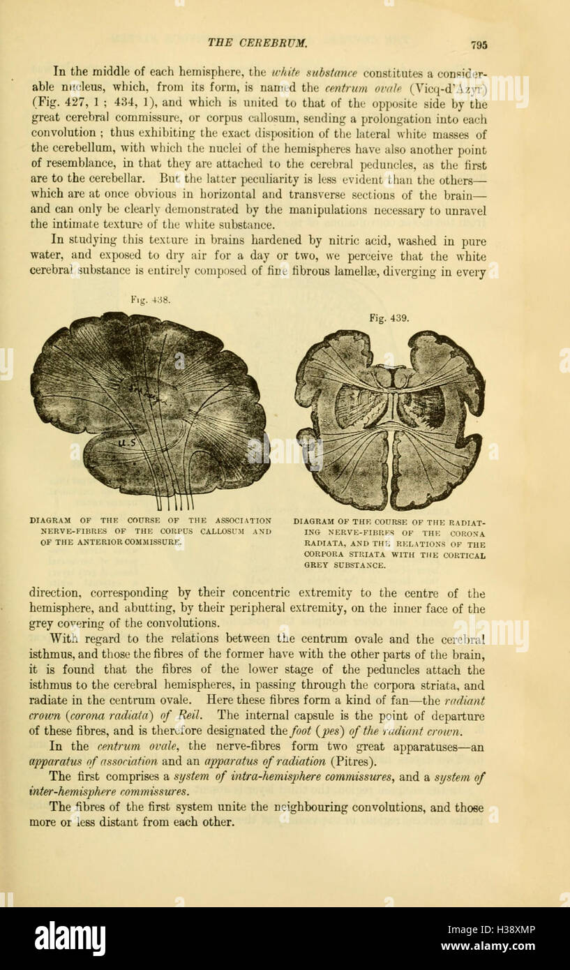 This book provides a detailed study of the comparative anatomy of ...