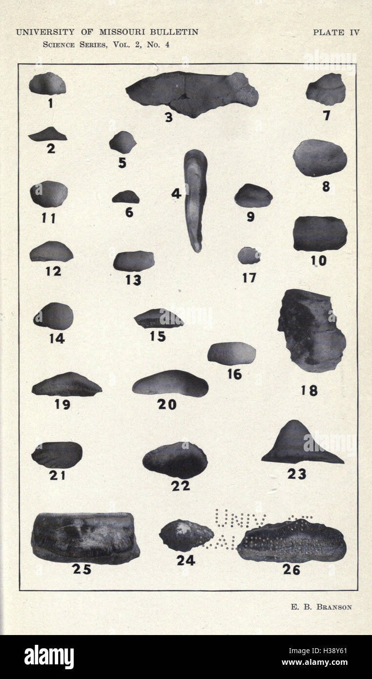 Fish fossil from the devonian period hi-res stock photography and ...