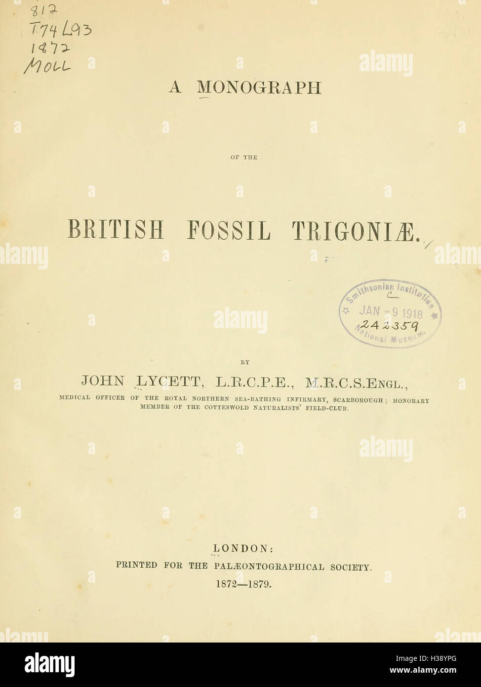 A detailed study on the British fossil Trigoniae, a genus of extinct ...