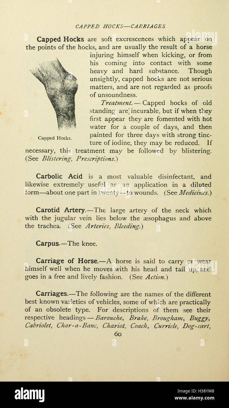 A comprehensive guide to stable management, including detailed advice ...