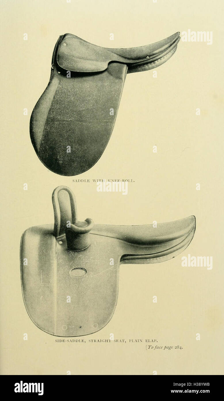 This encyclopedia covers various aspects of stable management ...