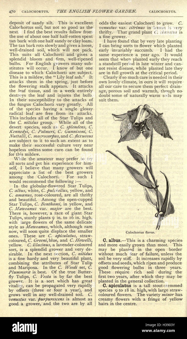 A guide to designing and maintaining English-style flower gardens and ...