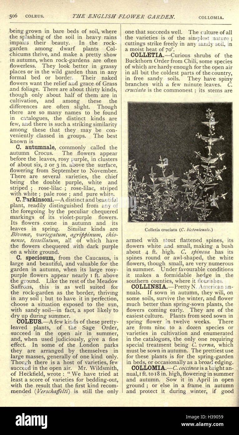 This section focuses on the planning and care of English-style flower ...