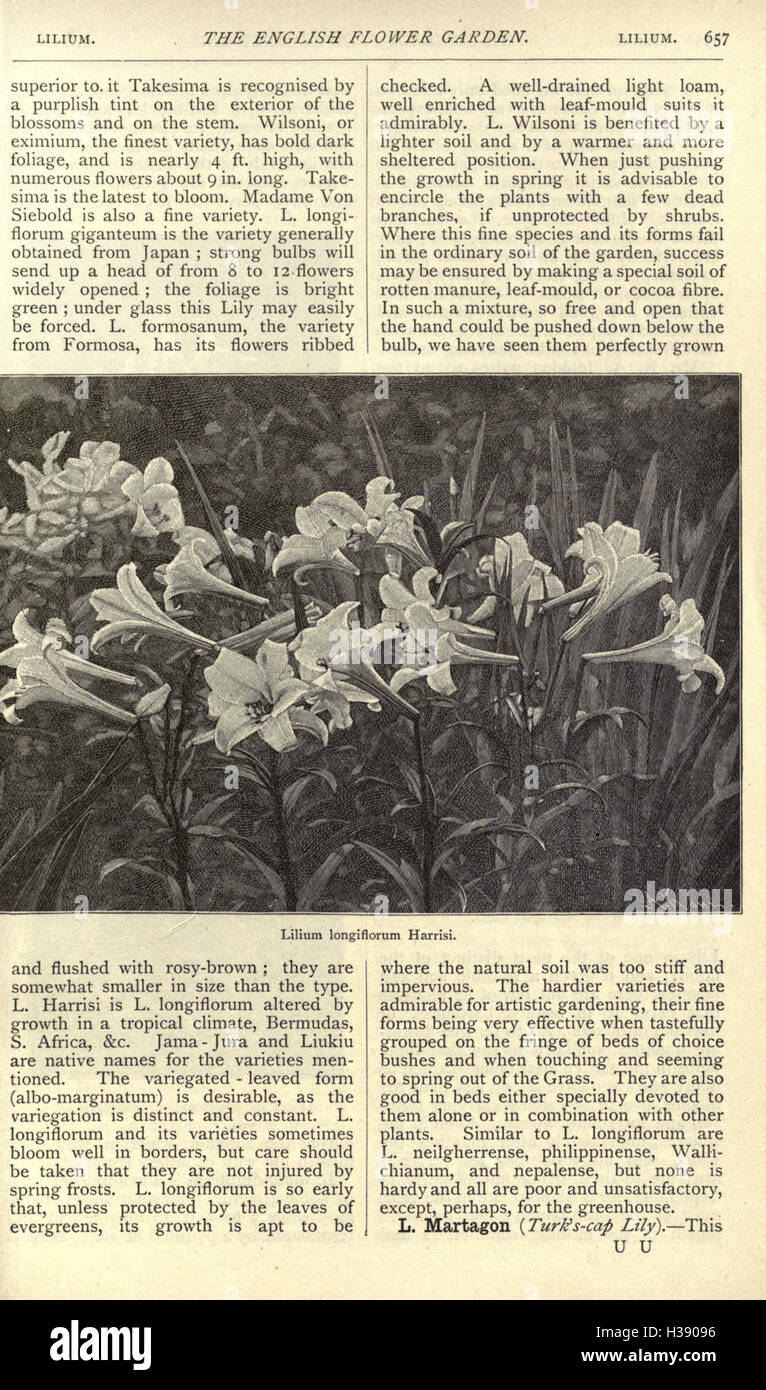 This book explores the design and cultivation of English flower gardens ...